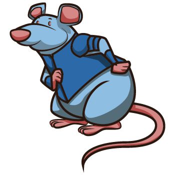 Why Is The Flemish Giant Rat Flemish? - NodricTrans