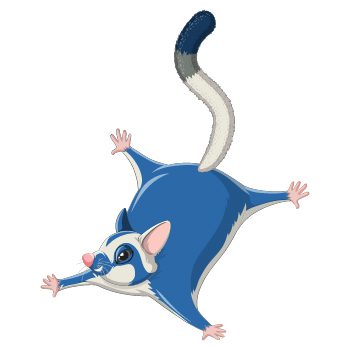 Why Is The Flemish Giant Rat Flemish? - NodricTrans